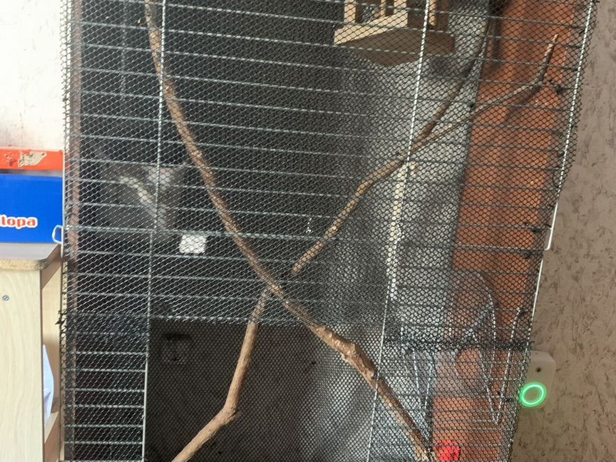 Отдам, вольер