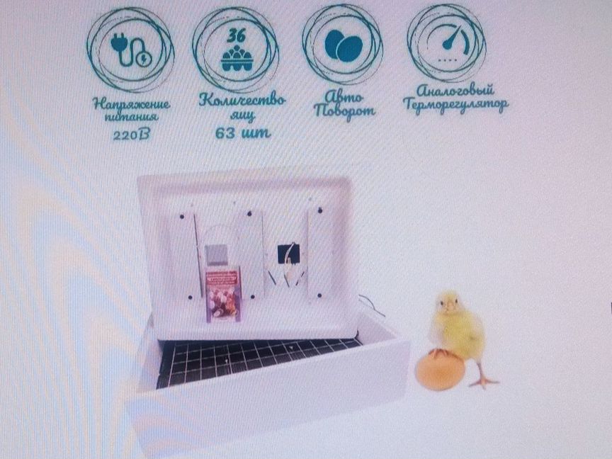 Инкубатор Несушка на 63 яйца аналоговый терморег