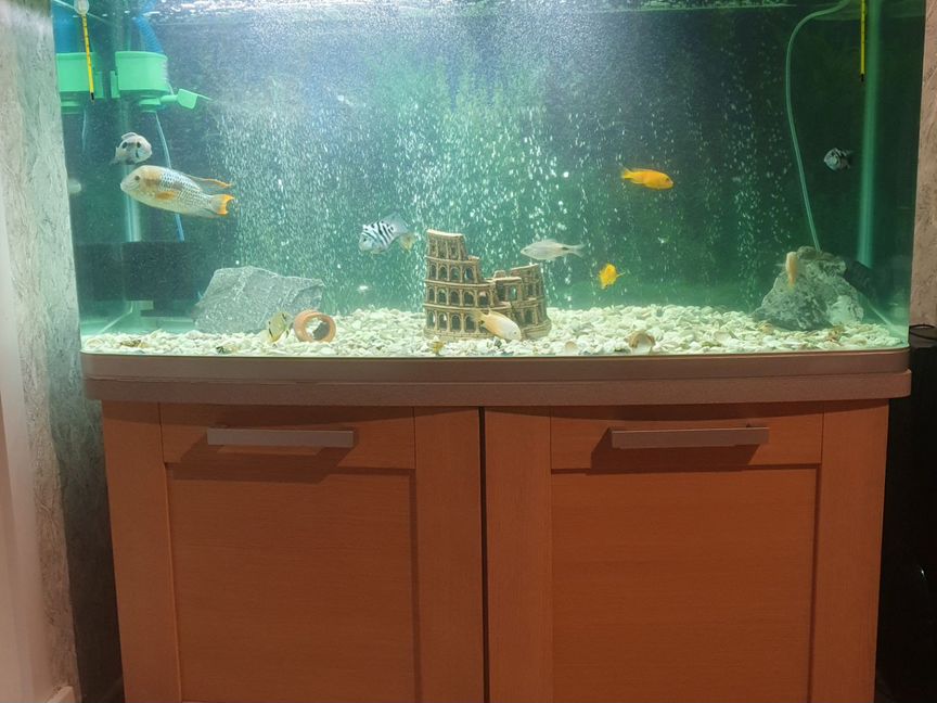 Аквариум с тумбой jebo