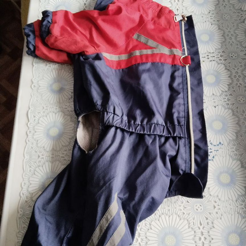 Комбинезон и плащик для маленькой собаки кобелька