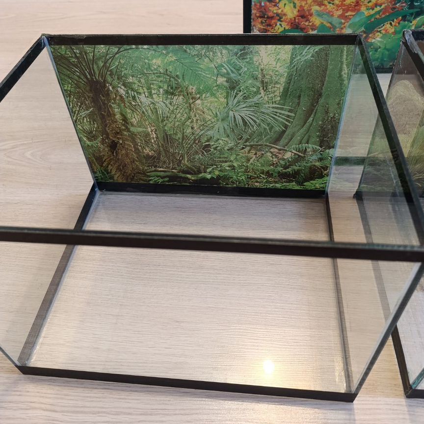 Аквариум один 24,5 литра