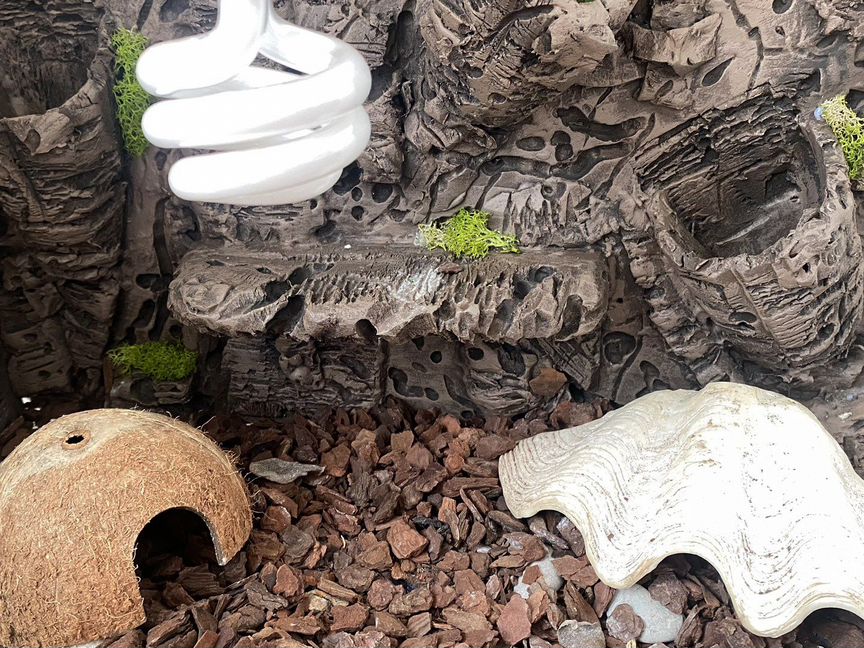 Террариум для эублефара