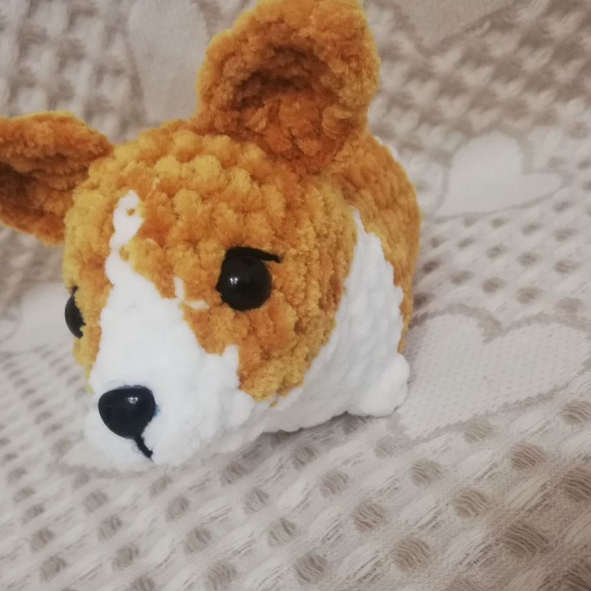 Корги