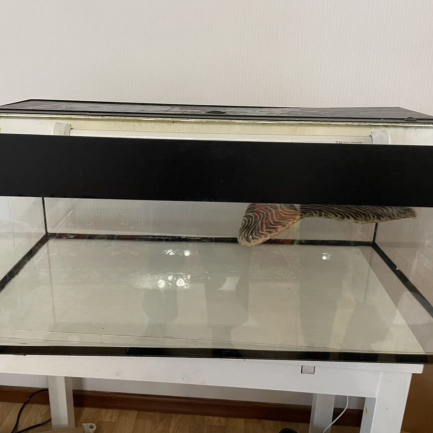 Аквариум для водной черепахи