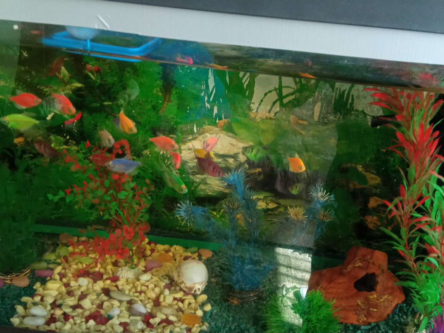 Аквариум