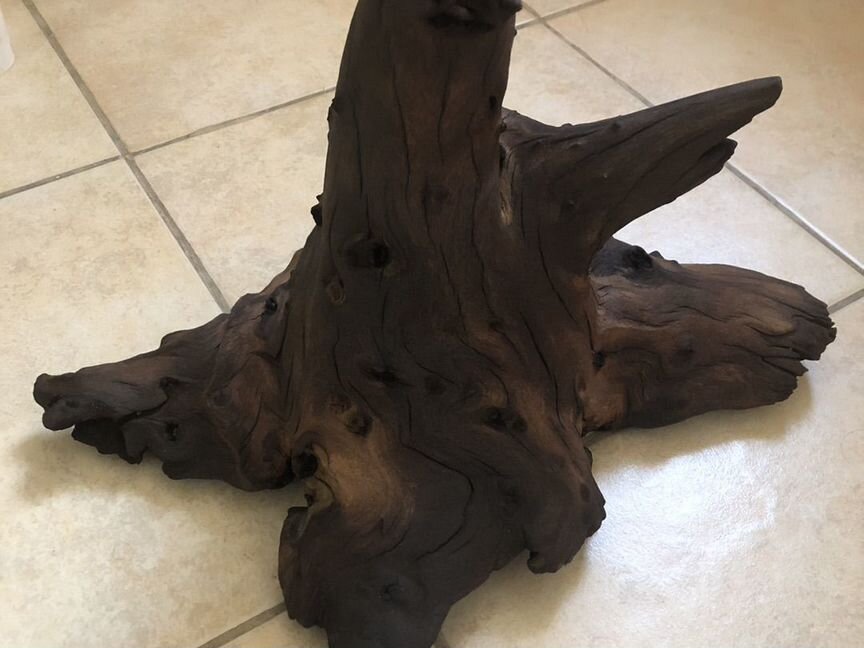 Коряги «мангра«