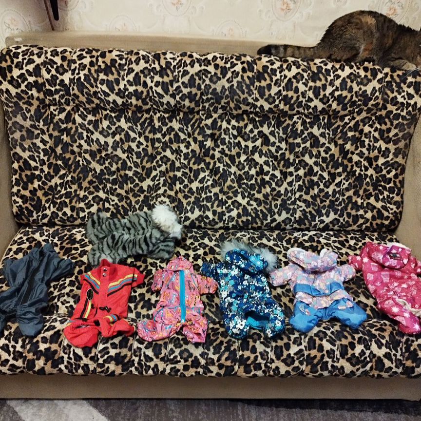 Одежда для маленьких собак