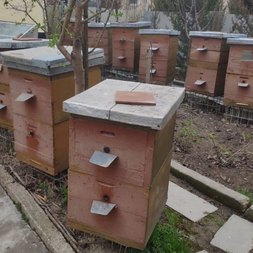 Ульи для пчел