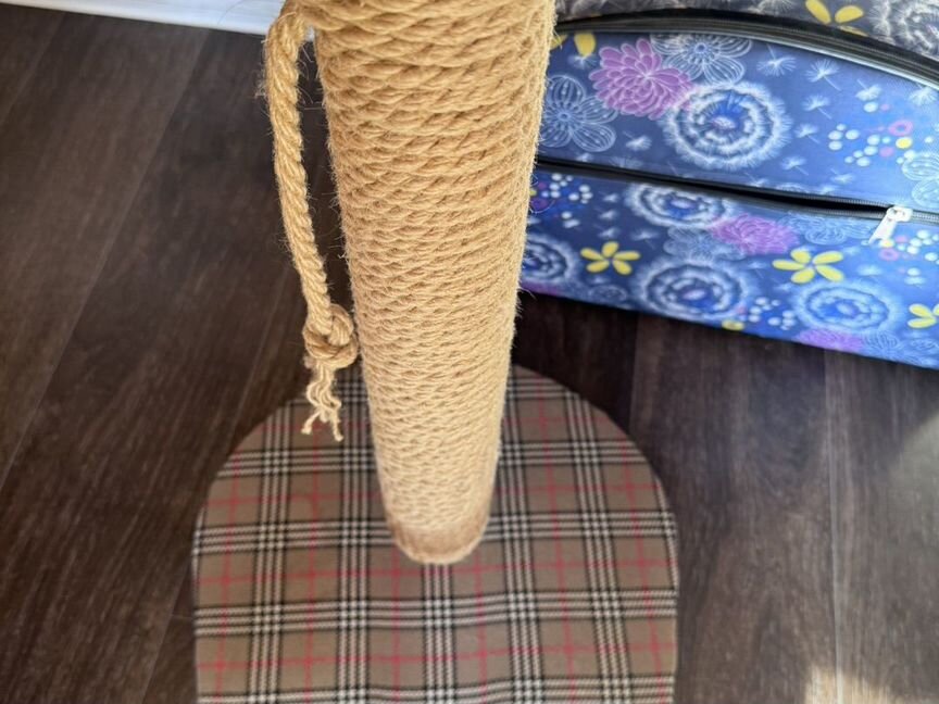 Когтеточка для кошек