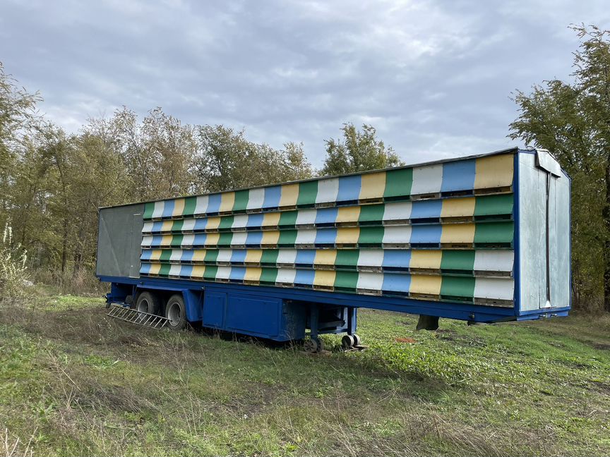 Пчелопавелеон