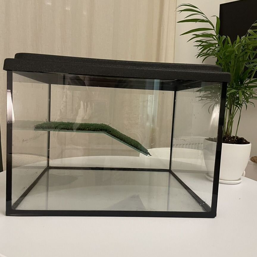 Террариум для черепахи с мостиком