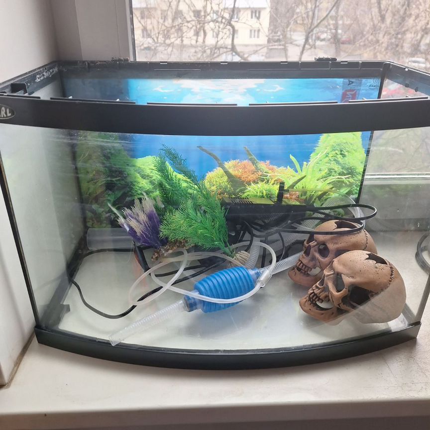 Аквариум с аксесуарами
