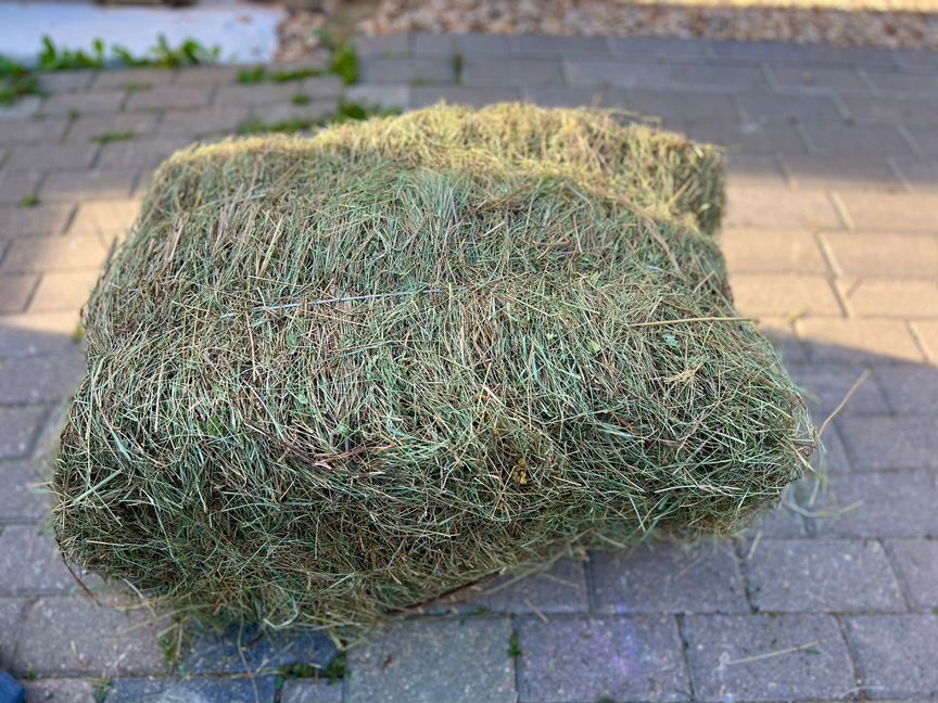 Сено в тюках душистое