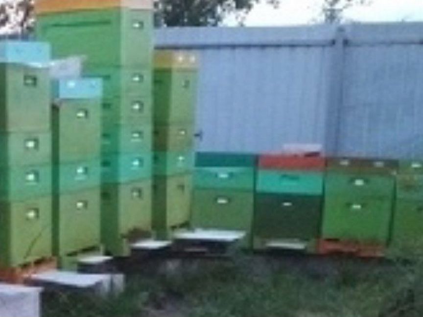 Улей для пчел бу Нижегородец