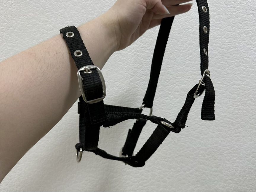 Недоуздок для жеребенка