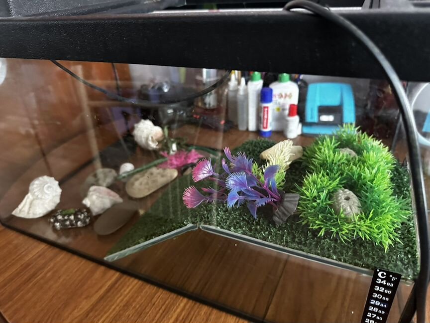 Аквариму для черепахи