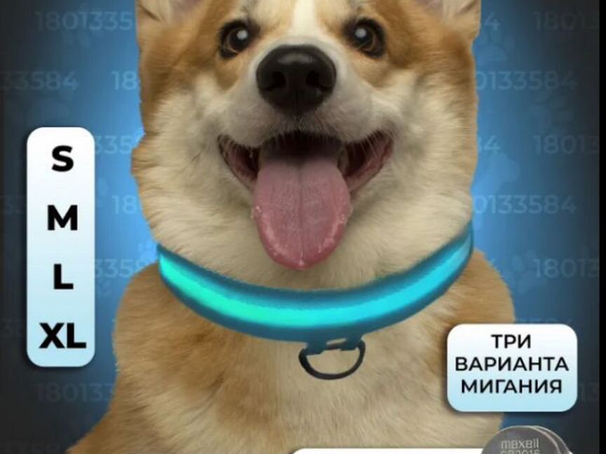 Светящийся ошейник для собак