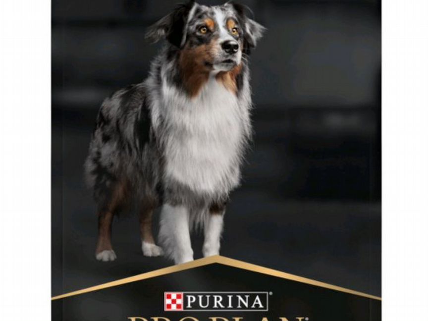 Корм сухой пурина ван, рис, курица