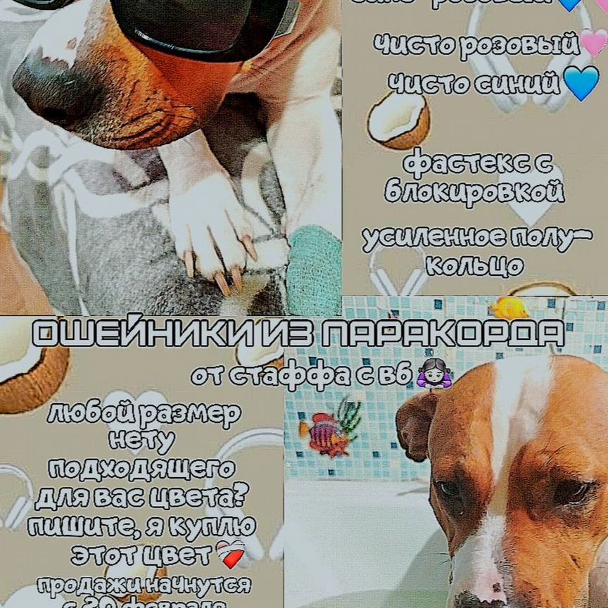 Ошейник из паракорда