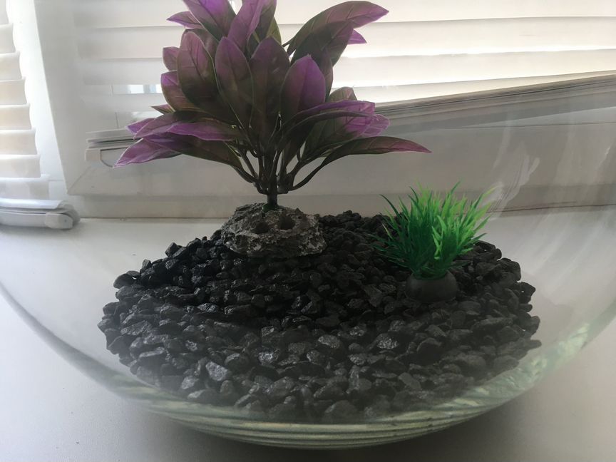 Аквариум круглый, 13 литров