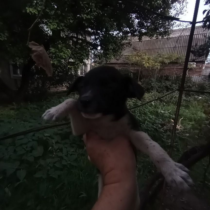 Помогите малышке