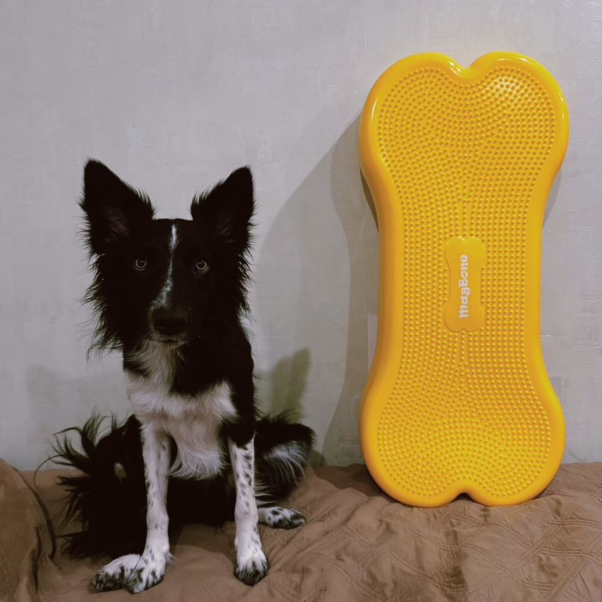 Фитнес кость для собак