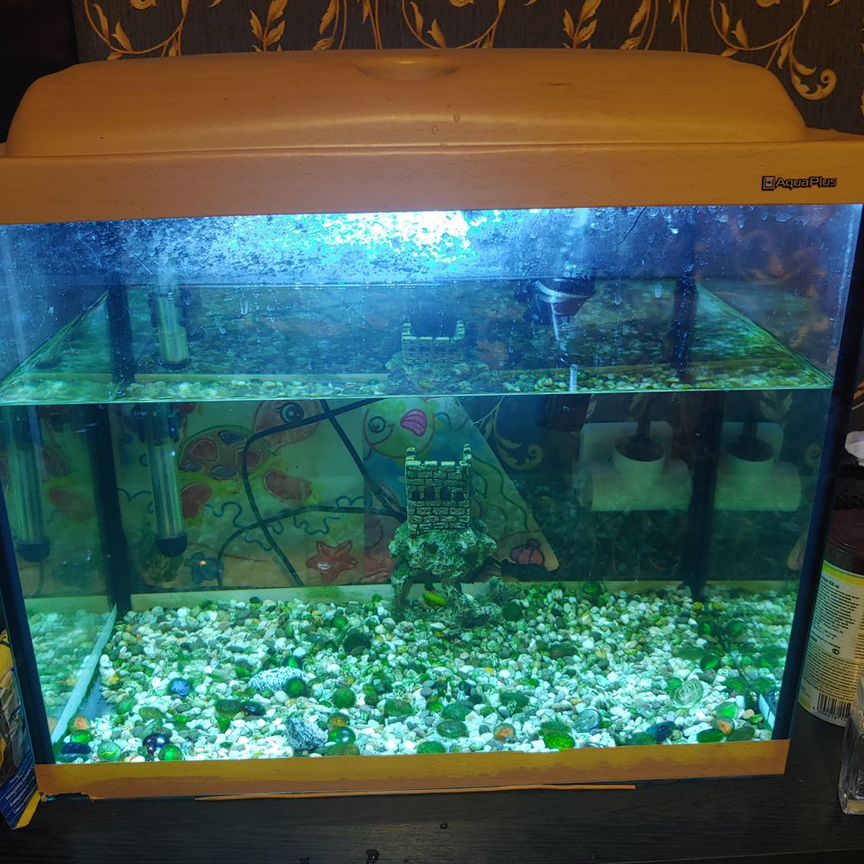 Аквариум 50л со всем необходимым