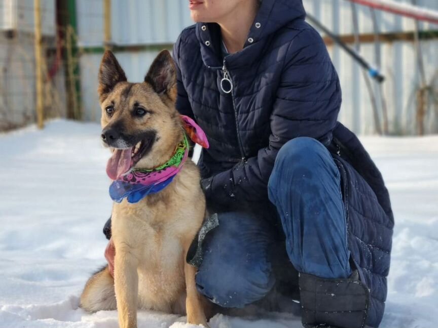 Ларочка ищет дом