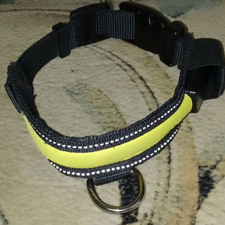 Ошейник для собак