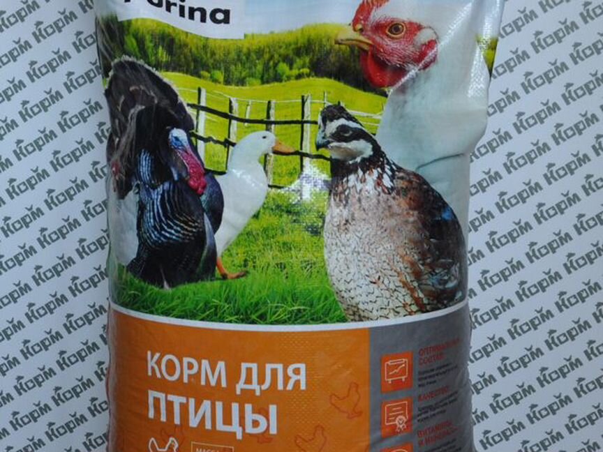 Комбикорм Пурина для Индейки рост