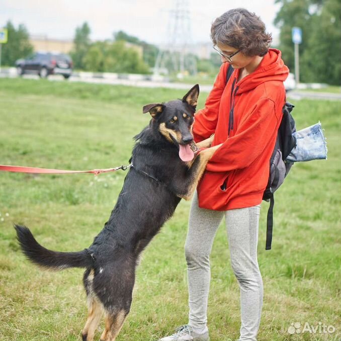 Крутейший малыш очень хочет попасть домой