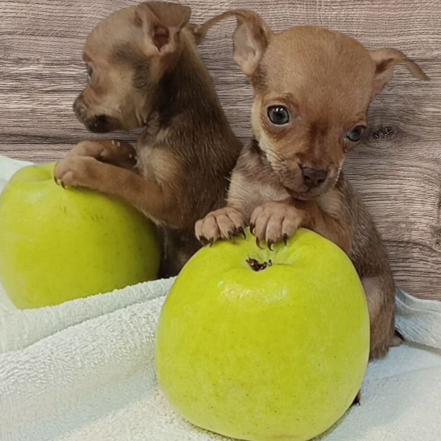 Подарок на новый год ребенку