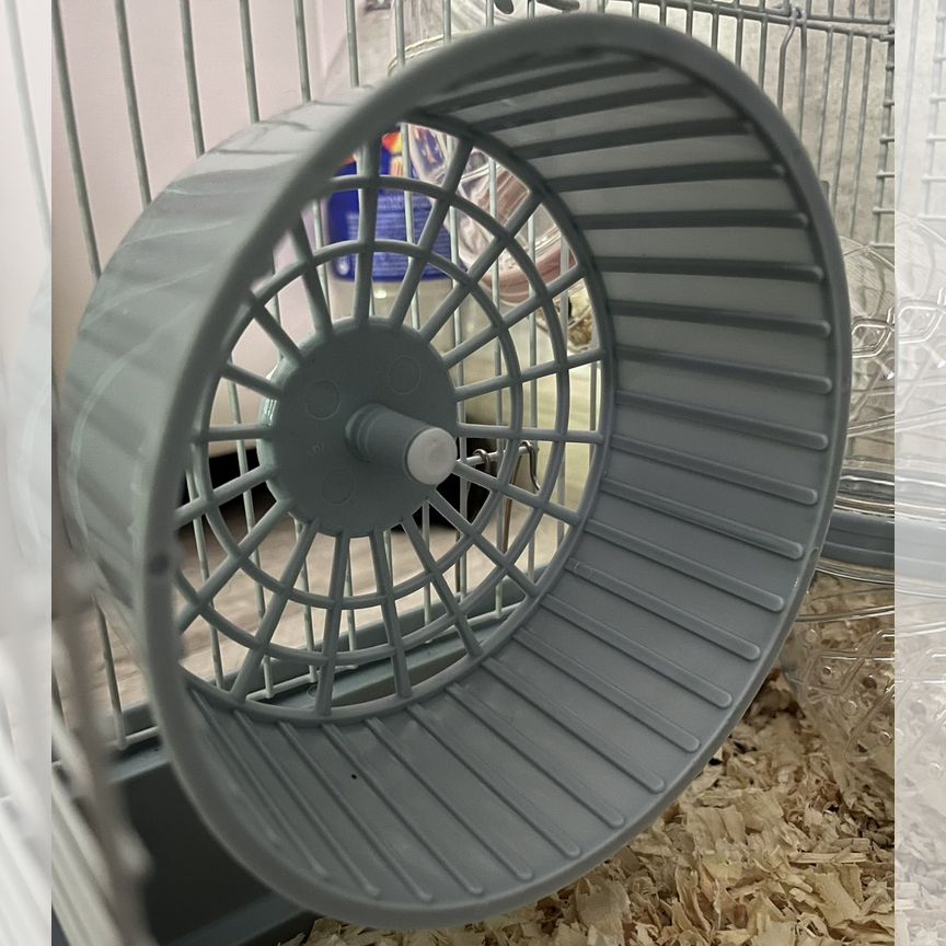 Все для хомяка