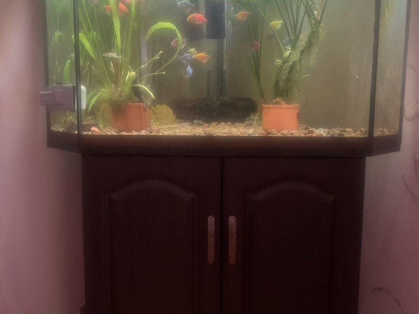 Аквариум с тумбой 200л