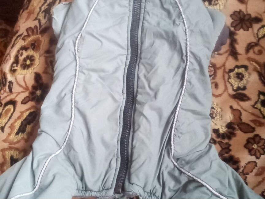 Одежда для собак