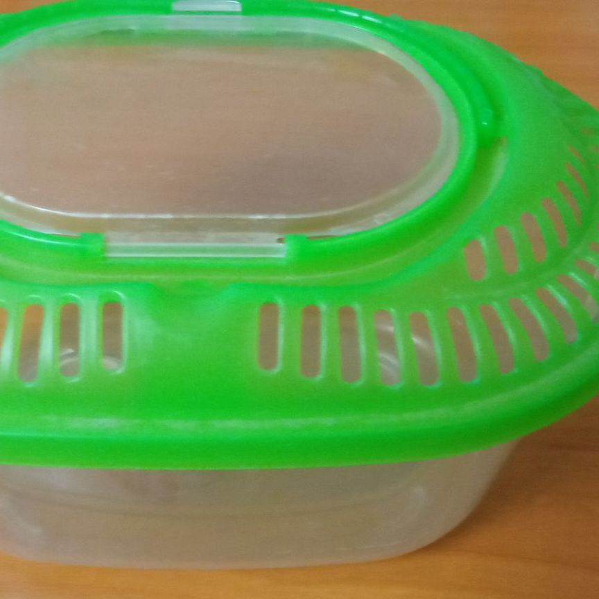 Террариум для красноухой черепахи