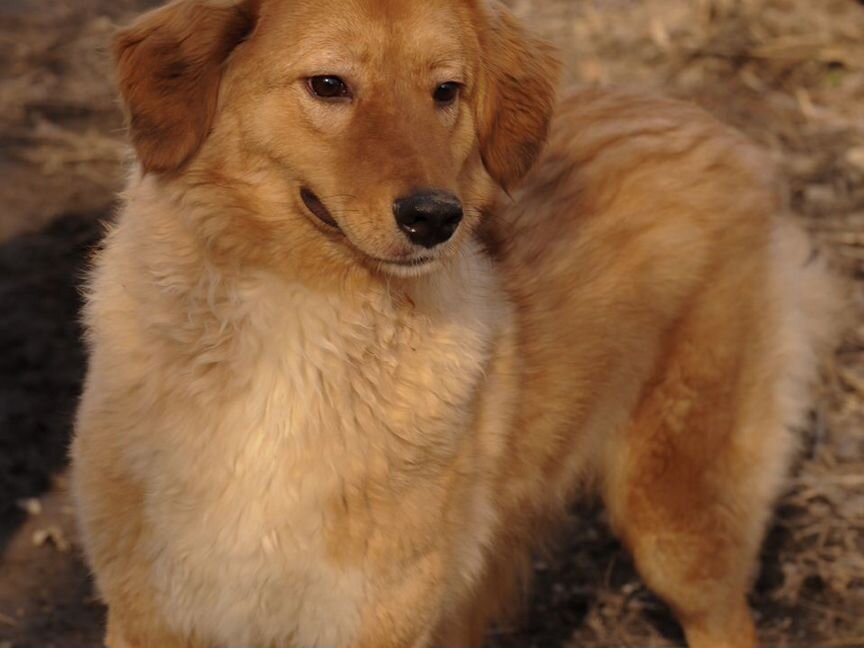 Даша ищет семью