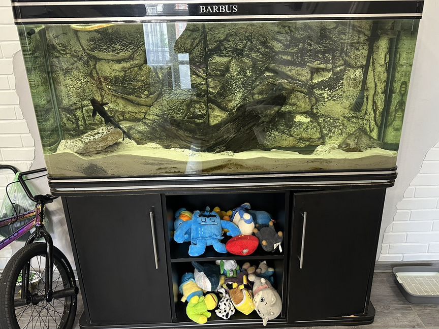 Аквариум barbus 290л