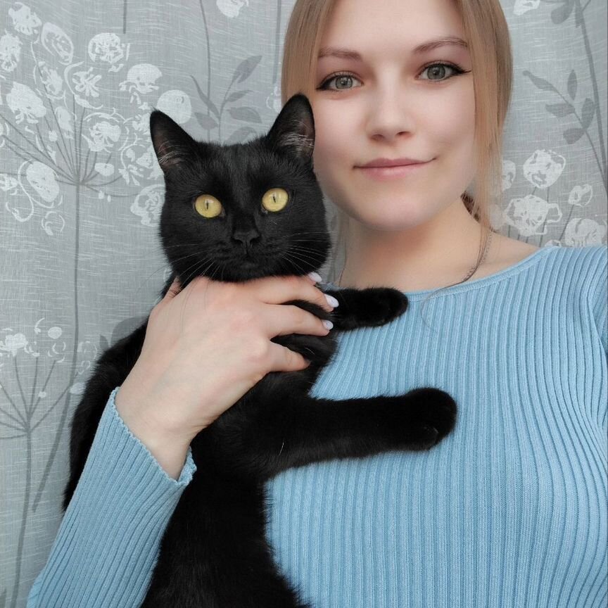 Отдам кошечку в добрые руки