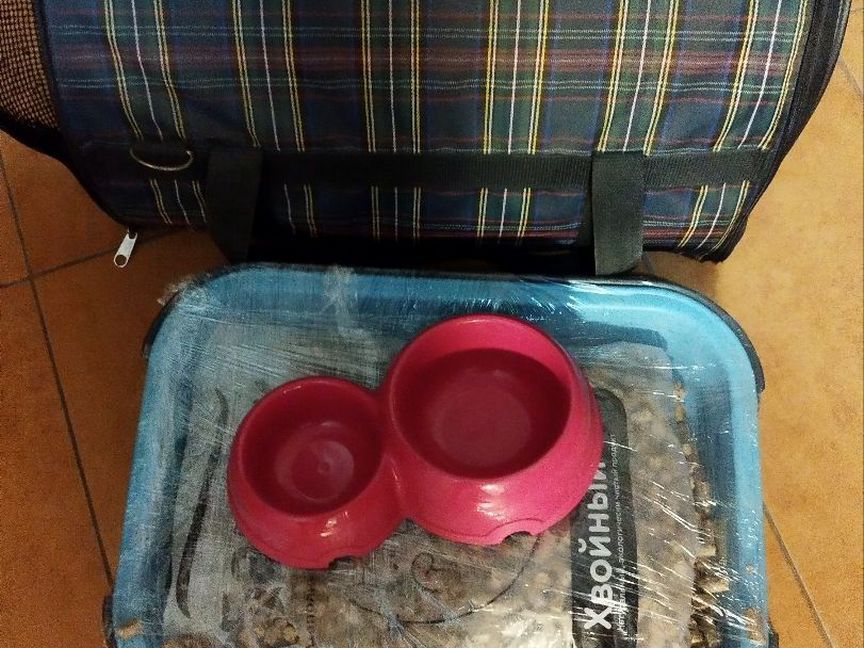 Предметы для кошки