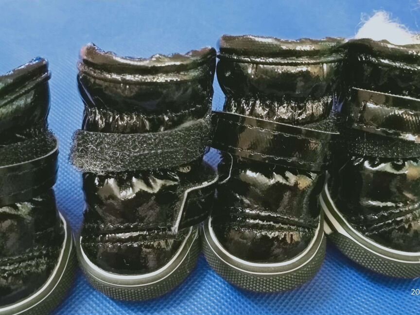 Обувь осень-зима для маленькой собаки