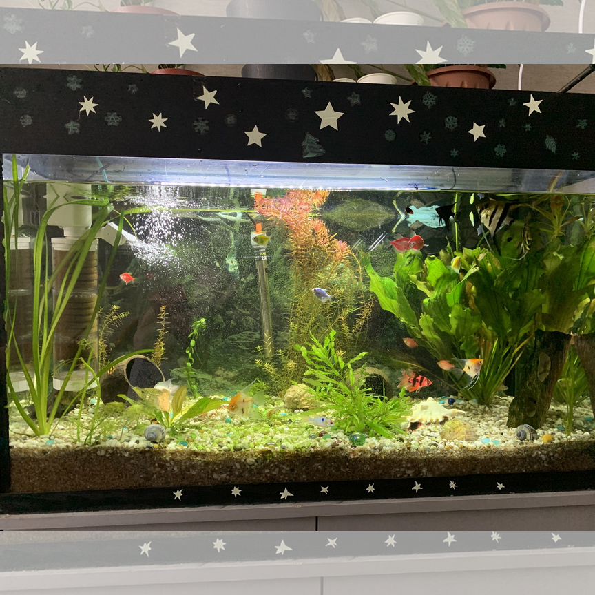 Аквариум 160 литров