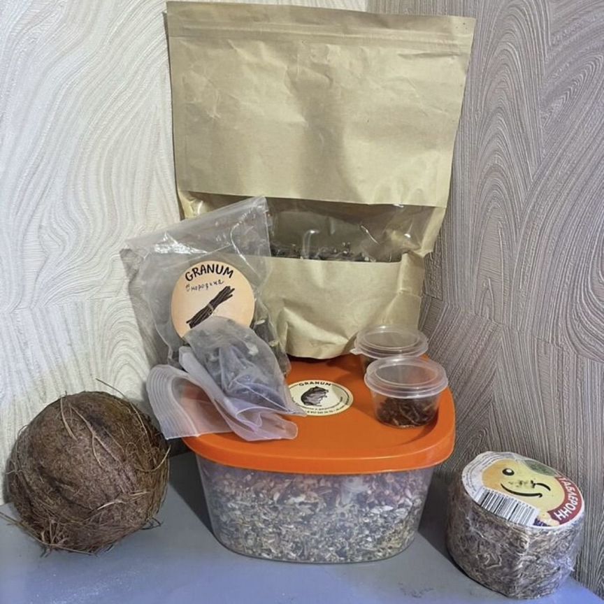 Аксессуары для хомяка