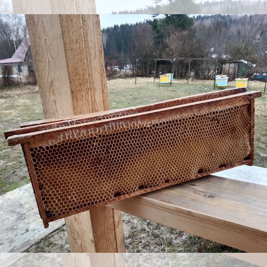 Рамки сушь магазинная