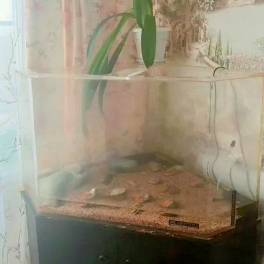 Аквариум 150 литров