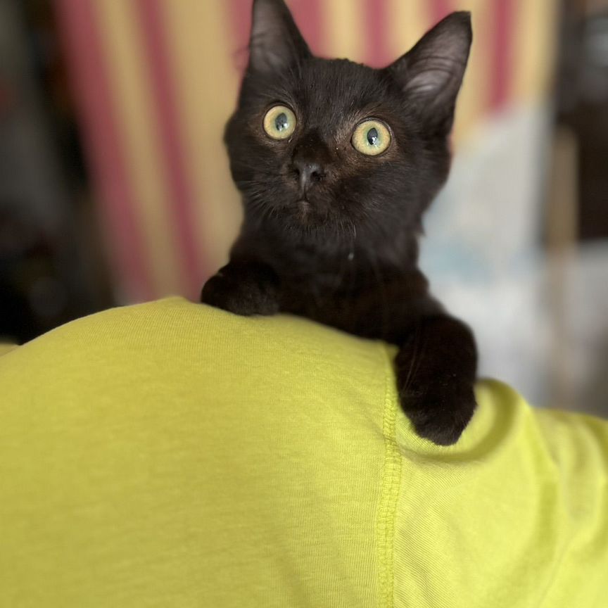 Мальчик 3,5 месяца будет пушистым