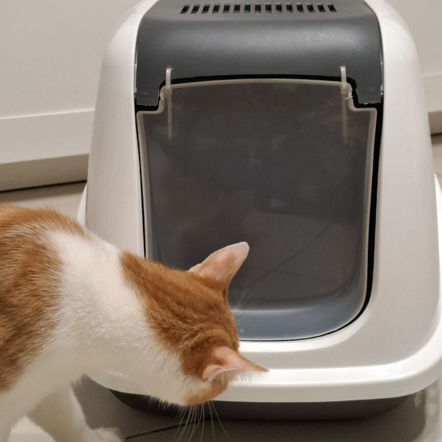 Лоток для котов