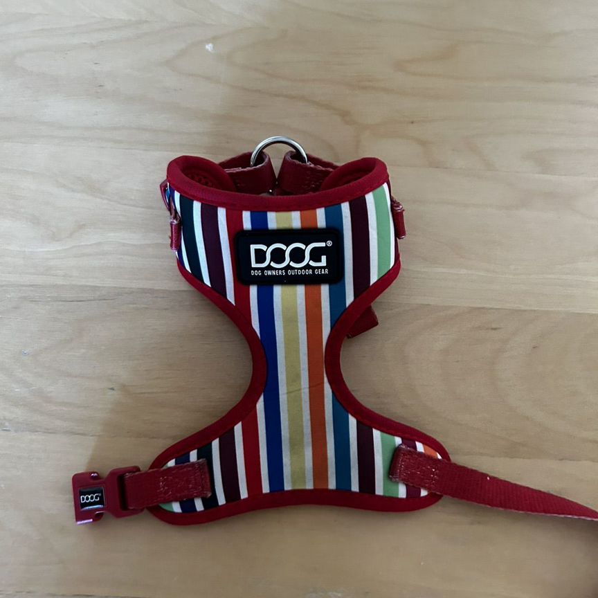 Собачья шлейка doog