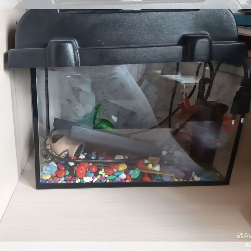 Аквариум 253242