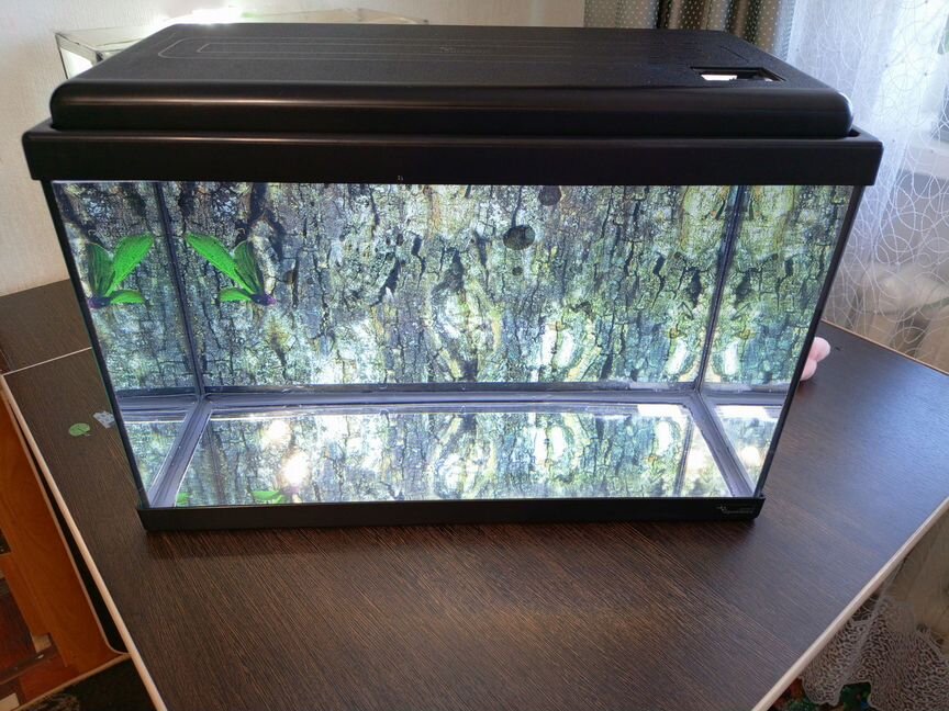 Аквариум "Акваатлантис"